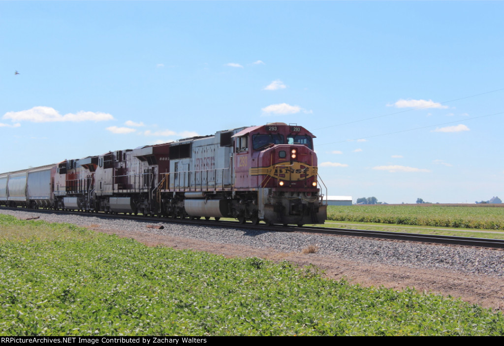 BNSF 293 CP 8887 BNSF 8253(Gevo)